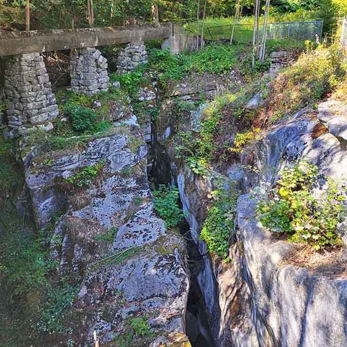 Nature slowly reclaiming this marble chasm &mdash; ferns and moss softening every rugged edge at Natural Bridge.