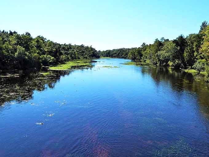 The river stretches wide and blue, flanked by lush vegetation that creates a corridor of wild Florida beauty.