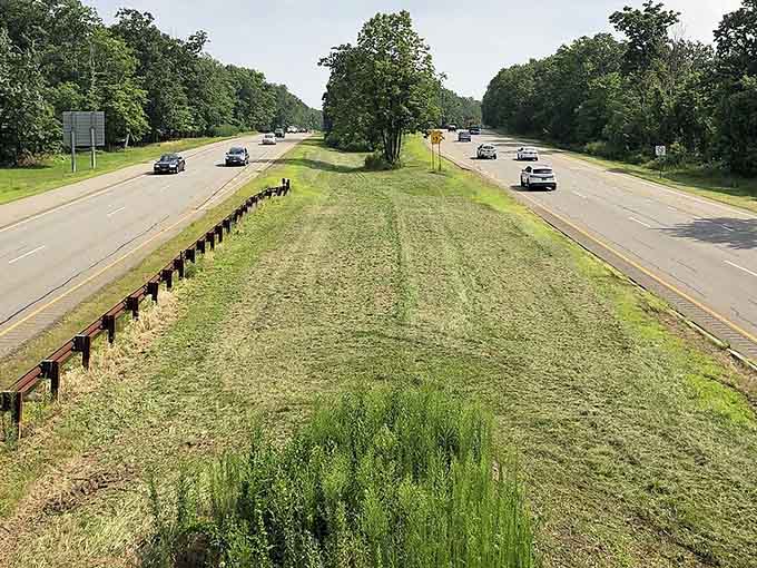 The Palisades Interstate Parkway cuts through lush greenery, offering a scenic escape that feels worlds away from everything.