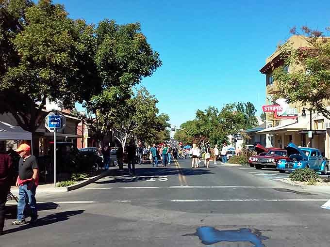Community festivals bring neighbors together on tree-lined streets where classic cars and conversation flow freely like old times.