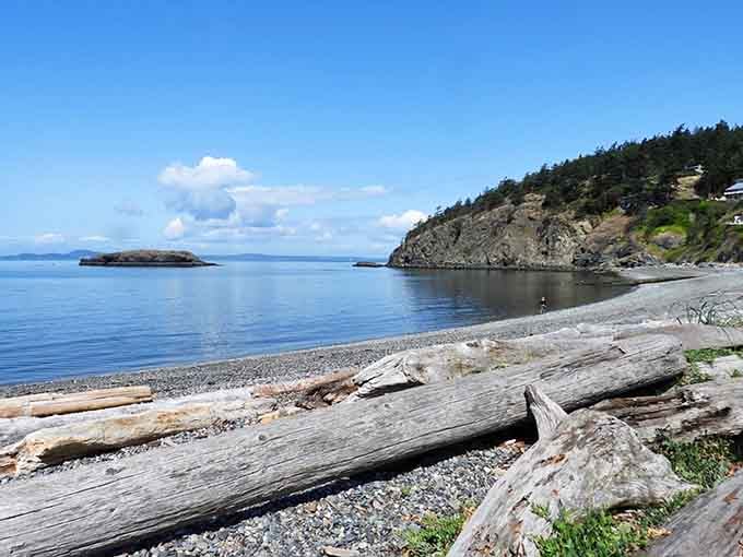 Silvery driftwood logs frame this protected cove where the water stays calm enough to see your reflection perfectly.