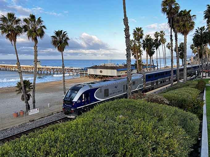 Palm trees sway beside the tracks as coastal trains glide past like something from a vintage travel poster.