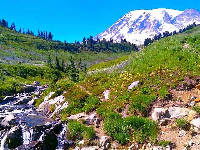Wildflower meadows burst with color as Mount Rainier stands watch like a snow-capped guardian of paradise.