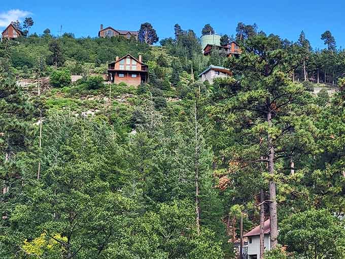 Cabins nestle into the hillside like they're playing hide-and-seek with the pines and winning beautifully.