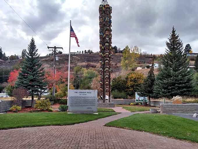 The Codger Pole stands proud among evergreens, its weathered faces watching over the town like wise old friends.