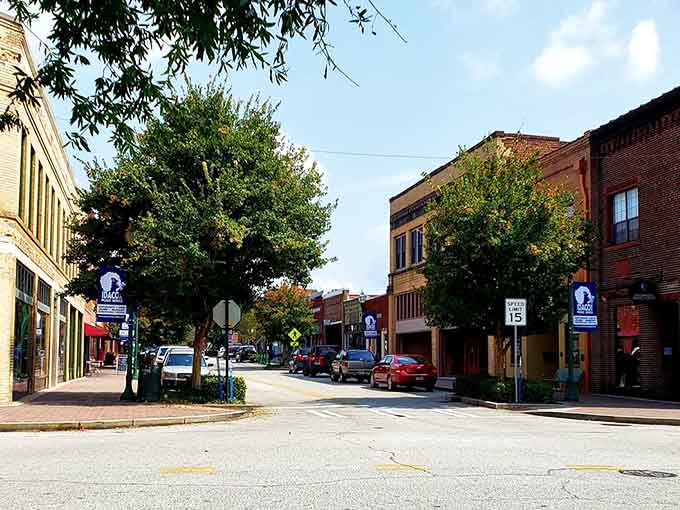 Mature trees shade this peaceful Toccoa street where you can actually hear yourself think and birds singing their hearts out.