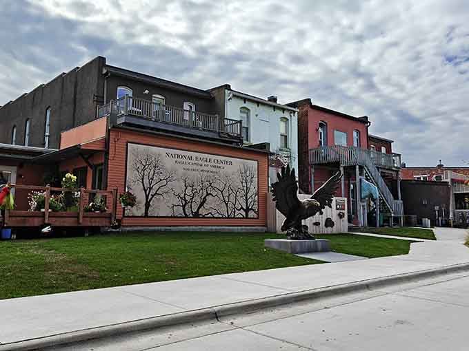 The National Eagle Center sits among colorful buildings where nature and history shake hands and become friends.