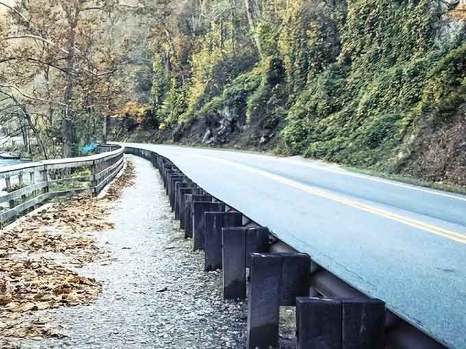 The guardrail hugs the mountainside where rock meets road in a dance that's lasted millions of years.