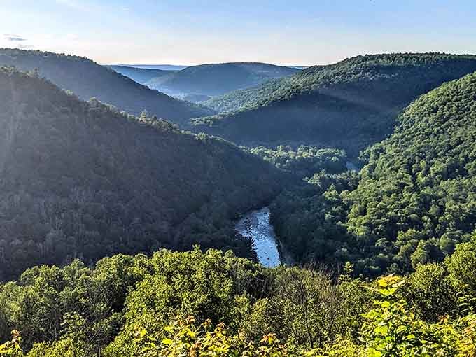 Morning mist rises from the valley floor while the creek winds below like a silver ribbon through green mountains.