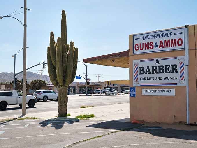 That magnificent saguaro cactus stands guard over a town where your barber might also sell ammunition.