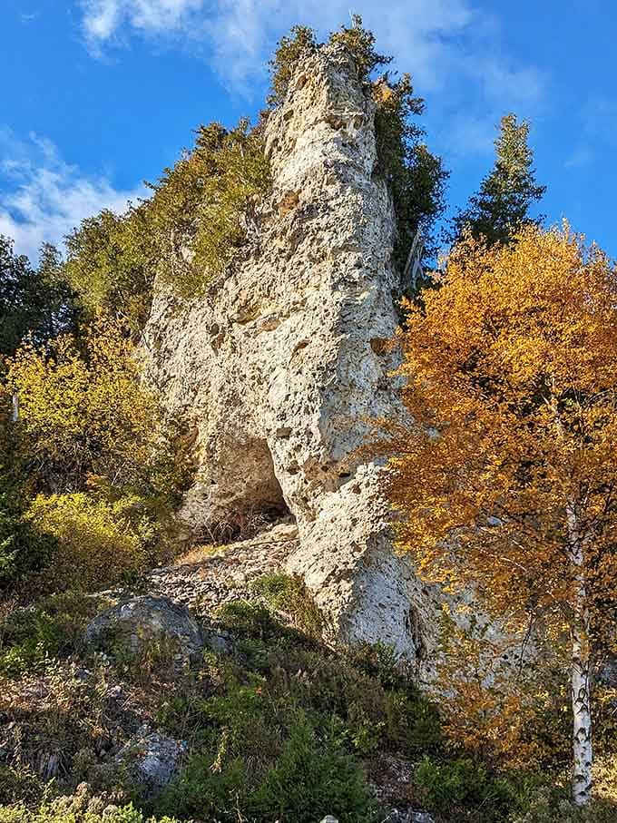 This towering limestone sentinel stands wrapped in autumn gold, a geological wonder that's been here longer than anyone's memory.