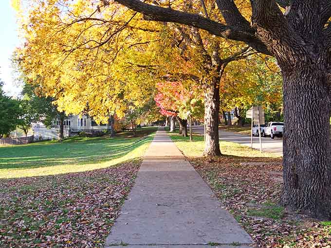 Golden autumn leaves create a natural cathedral over this sidewalk, better than any cathedral ceiling you've ever seen.