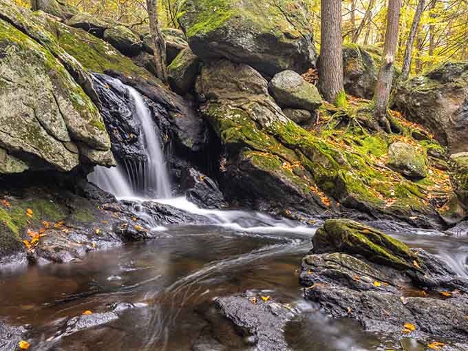 Dark rocks frame delicate streams of white water in this intimate forest setting dotted with autumn leaves.