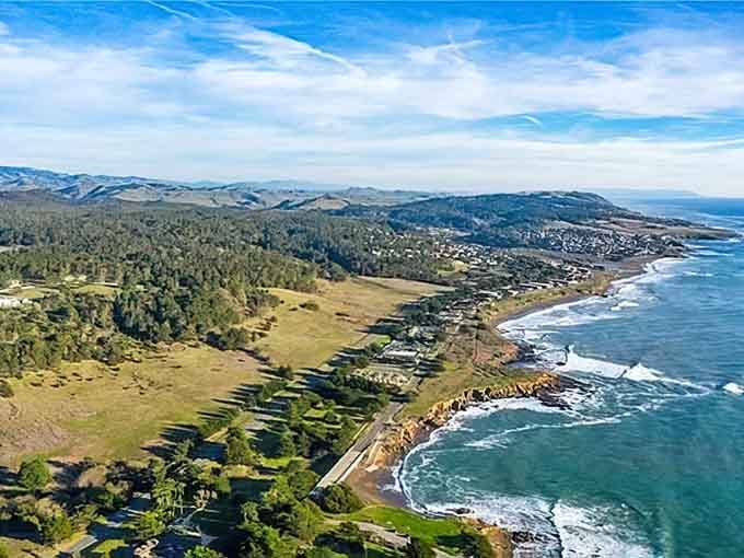 Cambria's coastline stretches endlessly, with pine forests tumbling toward beaches in a view that never gets old.