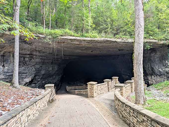 That massive rock overhang creates a natural amphitheater where the acoustics are better than any concert hall money can build.