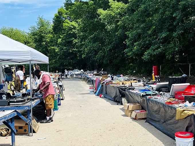 Shaded vendor tables stretch into the distance, offering relief from summer sun and endless opportunities for great finds.