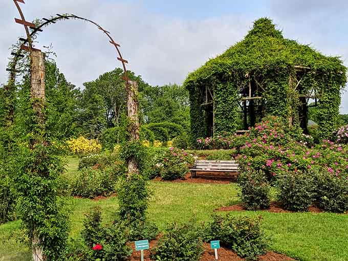 Manicured hedges and climbing arches frame the formal garden paths, where every rose bush stands at attention like floral soldiers.