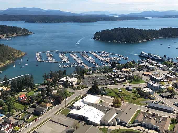 From above, the marina spreads like a perfectly organized fleet, with boats nestled snugly in their slips.
