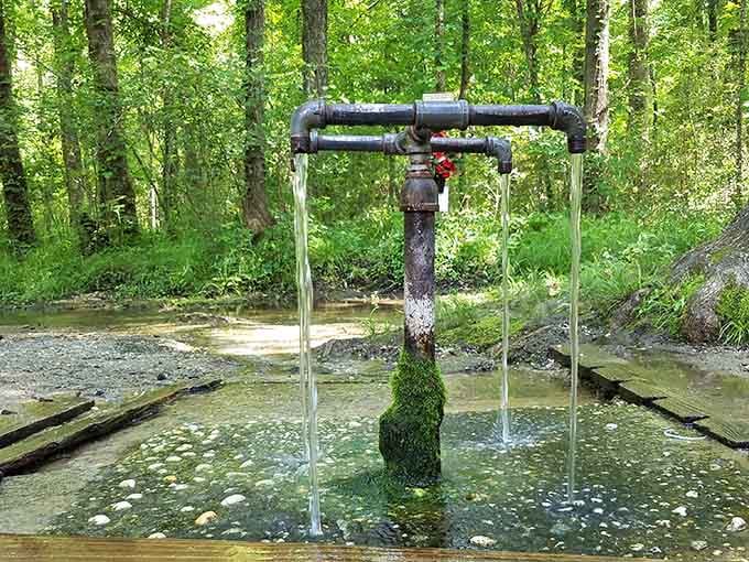 Water bubbles up constantly from this natural spring, flowing freely for anyone who stops to visit.