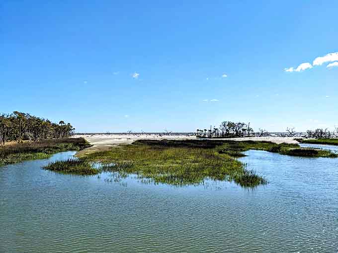 Marsh grasses sway in patterns that look like nature's own fingerprint across this protected coastal ecosystem.