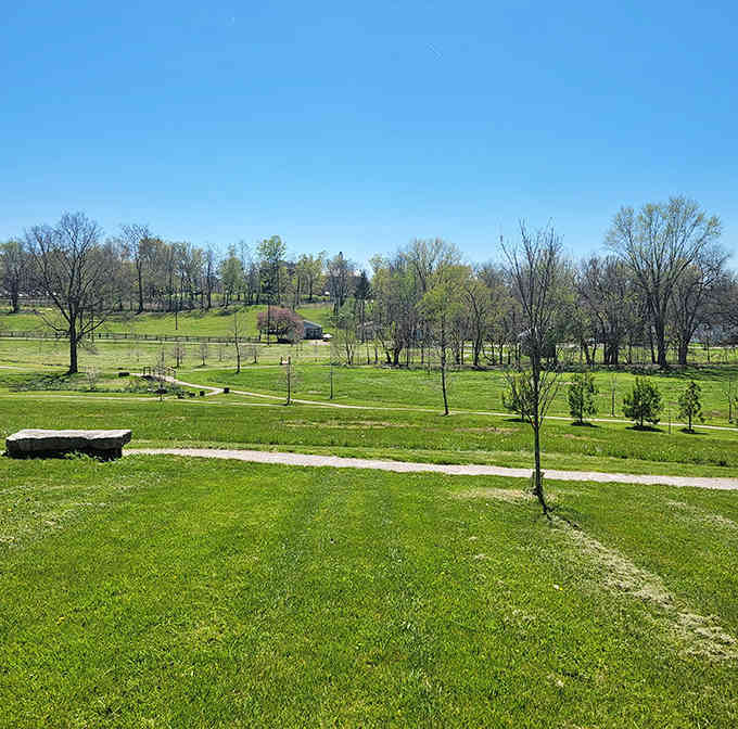 Rolling green hills stretch endlessly, offering the kind of peaceful views that make city stress melt away instantly.