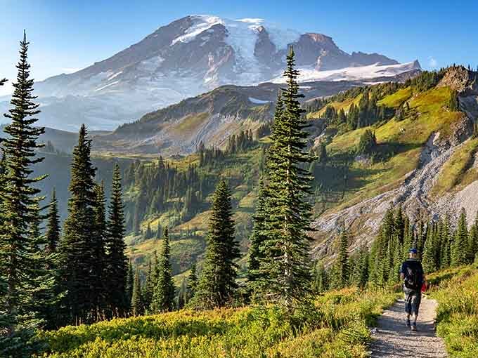 Golden meadows and evergreen forests bow before Rainier's magnificent glacial crown in perfect harmony.