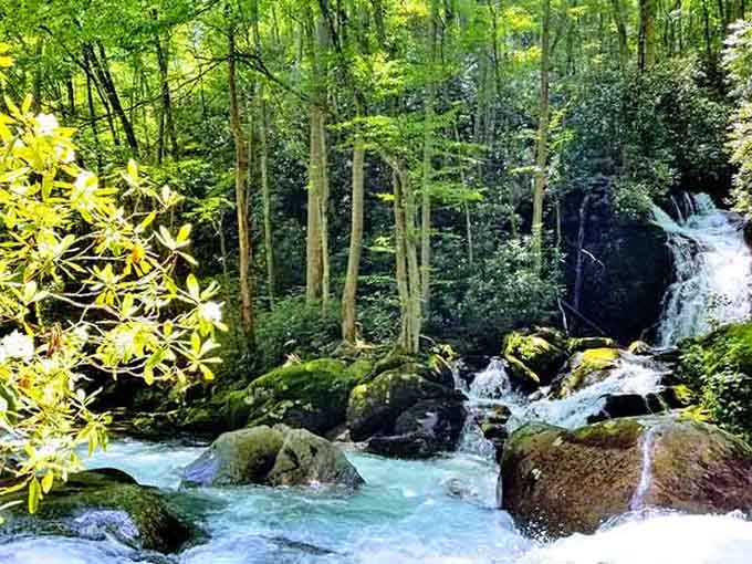 Moss-draped rocks frame cascading water that looks refreshingly cold even through your phone screen, doesn't it?