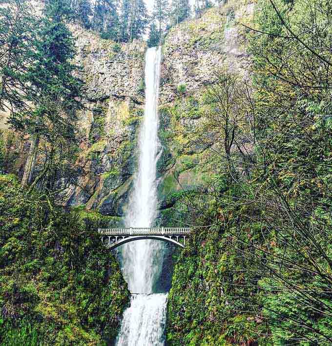The famous Benson Bridge spans this thundering waterfall, offering views that have inspired visitors since the 1910s.