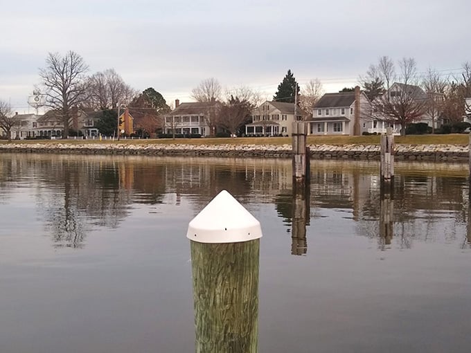 That white-capped post stands guard over the harbor like a tiny lighthouse keeping watch over peaceful waters.