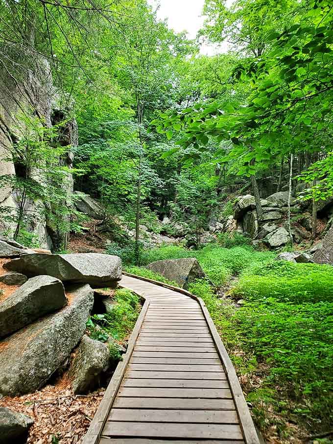 The wooden boardwalk winds through emerald-green boulders like a yellow brick road through nature's own Oz.