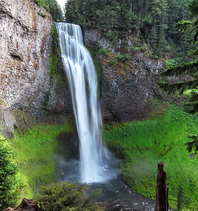 The waterfall's silky curtain drops into a deep pool below, surrounded by emerald moss that practically glows with life.