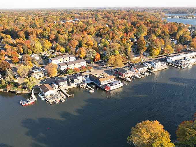 From above, autumn transforms the landscape into a patchwork quilt of gold, crimson, and emerald beauty.