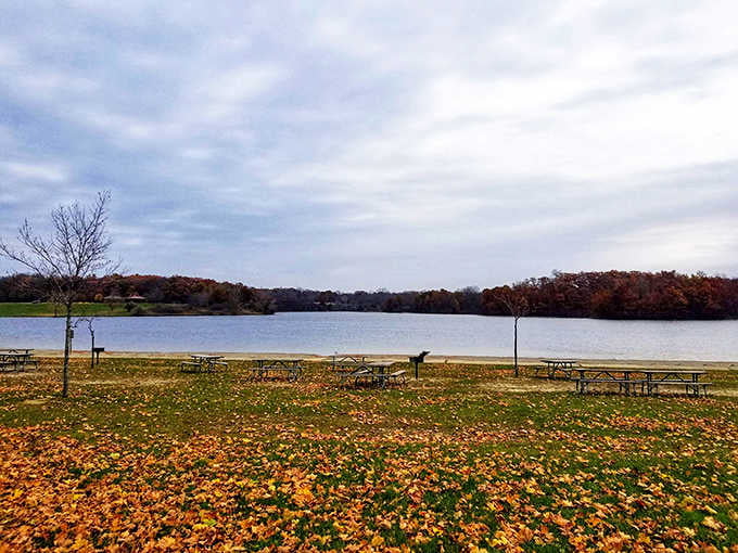 Autumn leaves blanket the shoreline like nature's own confetti celebrating another spectacular fall season by the peaceful water.