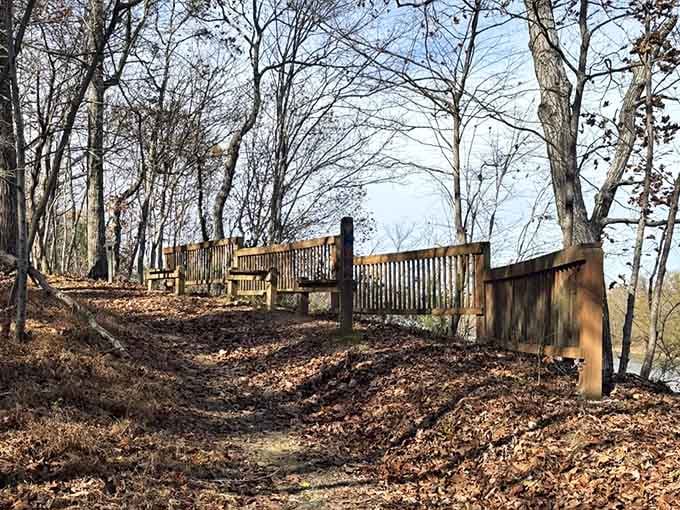 Mesh railings frame flowing water below while autumn's carpet of leaves cushions your woodland journey.