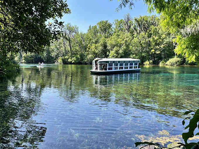 The glass-bottom boat glides across water so transparent it looks like the vessel is floating on liquid sapphire itself.