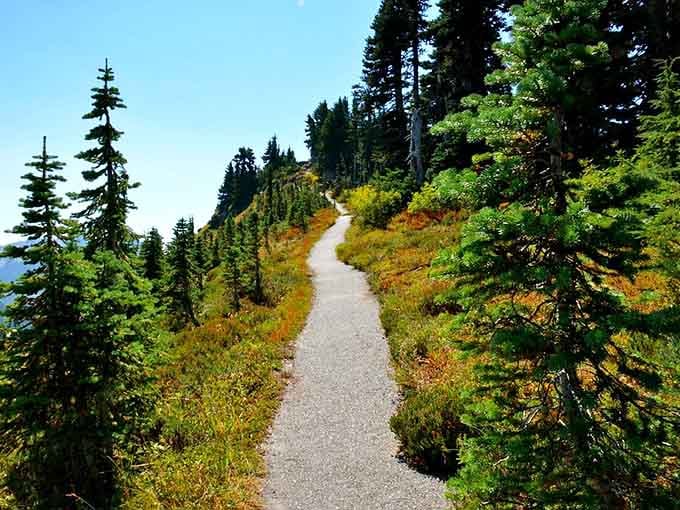 The paved trail ribbons through alpine meadows where nature paints with every color in the crayon box.