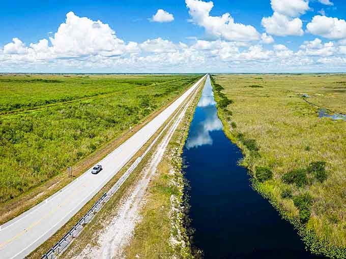 The Everglades stretch out forever here, flat and wild, reminding you that nature still runs the show.
