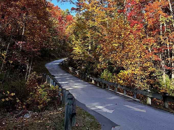 Fall colors explode along this winding byway, creating a tunnel of reds and golds that photographers dream about.