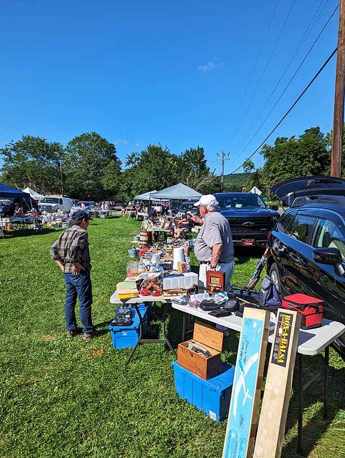 Under a bright blue sky, vendors gather in this sprawling field of endless possibilities and discoveries.