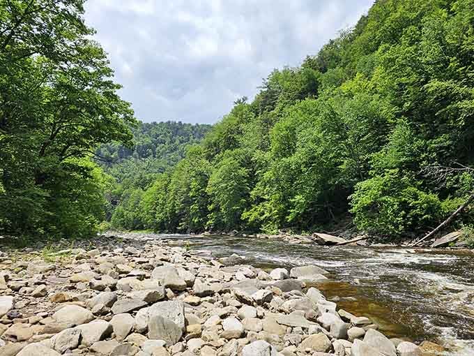 The rocky streambed stretches into the distance, surrounded by forest walls that make you feel wonderfully small inside.