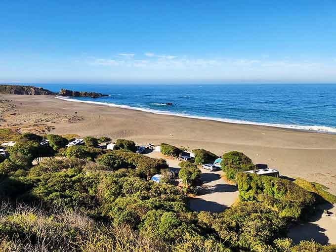 Campsites nestle among windswept vegetation overlooking a sweeping beach that seems to go on forever.