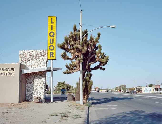 Classic yellow liquor store sign and a Joshua tree create the most perfectly quirky desert tableau.