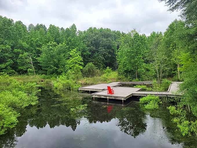 That red chair floating on the boardwalk offers front-row seats to nature's most underrated performance: stillness.