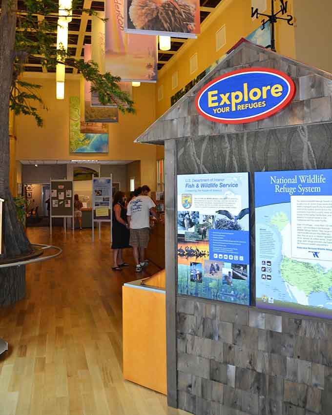 Inside, you'll discover why this refuge matters, told through exhibits that actually make conservation exciting and accessible.
