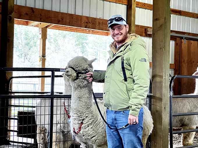 Nothing says "Oregon adventure" quite like getting photobombed by an alpaca who knows their best angle.