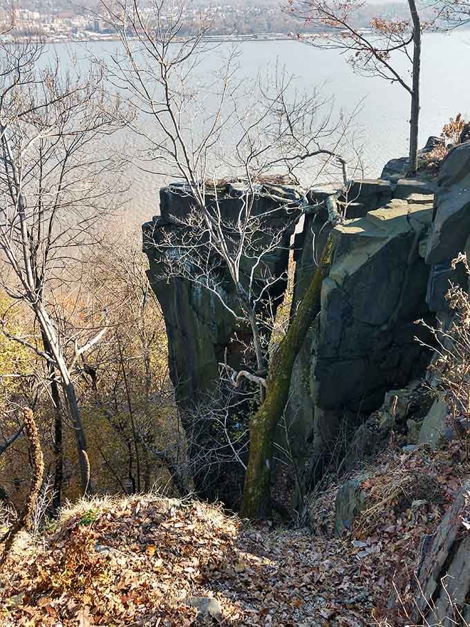 The Palisades' columnar basalt formations stand like nature's own skyscrapers, millions of years in the making and still impressive.