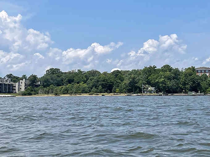 Waterside tranquility where the Chesapeake whispers stories older than the nation itself, perfectly peaceful.