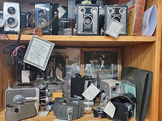 Brownie cameras and vintage photography equipment line up like a museum exhibit you're actually allowed to touch and buy.