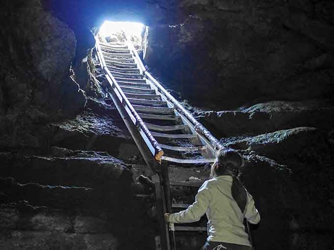That ladder isn't just a way out. It's your ticket back to the sunlit world above.