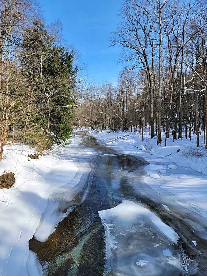 Winter transforms the creek into a frozen masterpiece that's somehow both peaceful and slightly intimidating in its beauty.